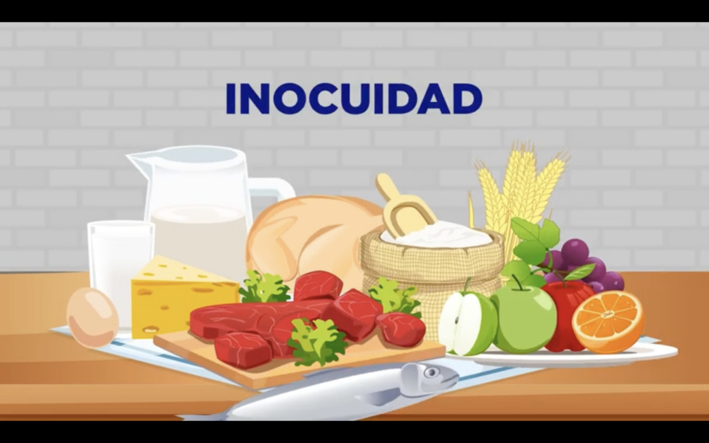 Recomendaciones de inocuidad para evitar enfermedades transmitidas por ...